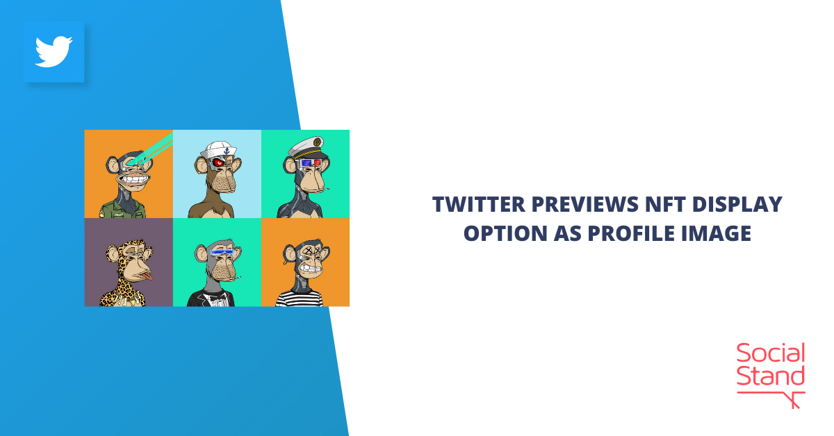 Twitter Previews NFT Display Option as Profile Image - Social Stand